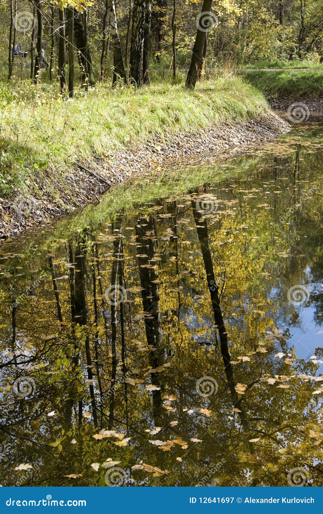 Sokolniki park in autumn stock image. Image of reflection - 12641697