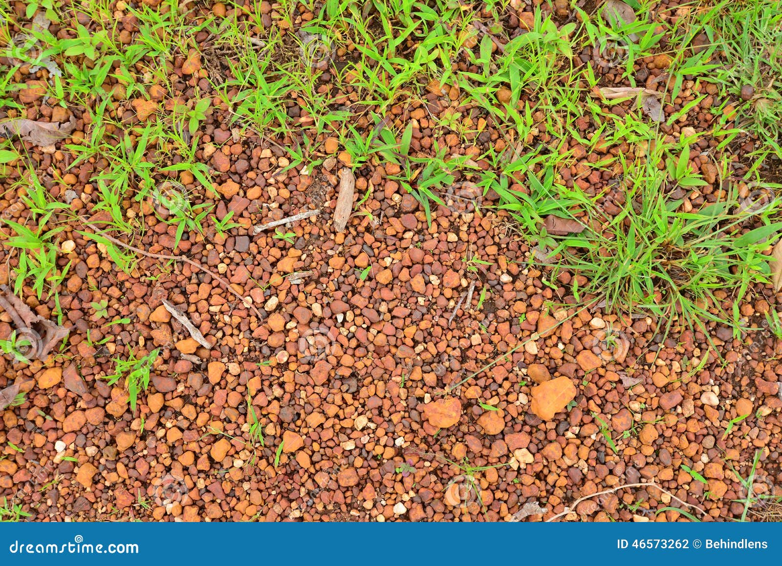 Sol Avec La Texture D'herbe Photo stock - Image du surface, zone: 46573262