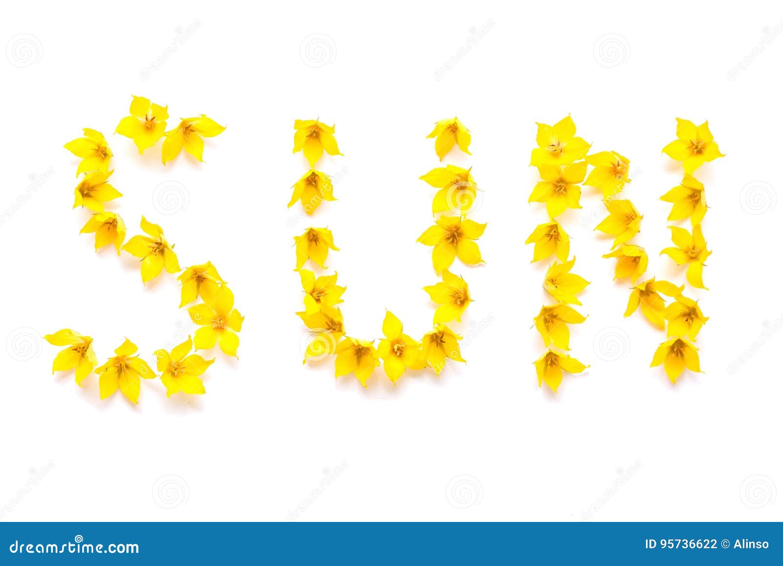 SOL Da Palavra Escrito Com Flores Amarelas Foto de Stock - Imagem de ...