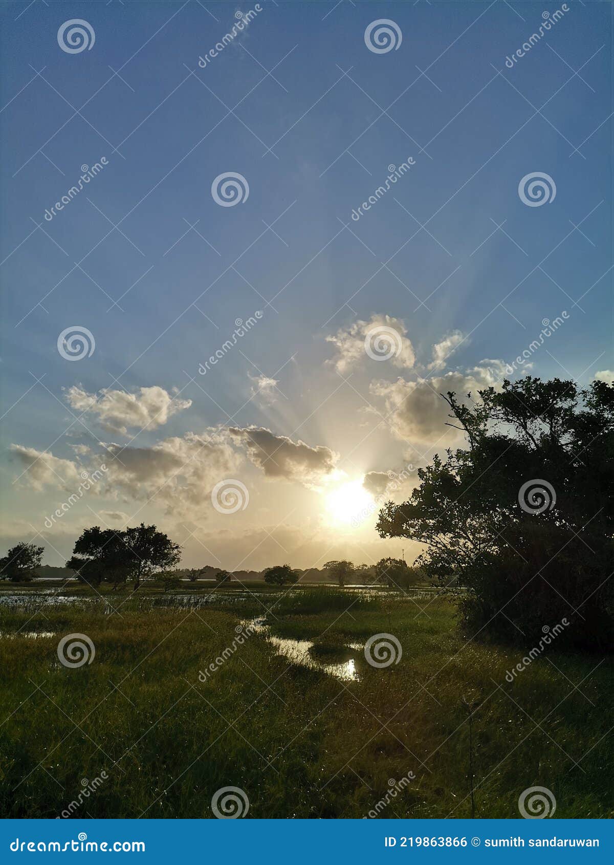 Sol de tarde foto de archivo. Imagen de tarde, hermoso - 219863866