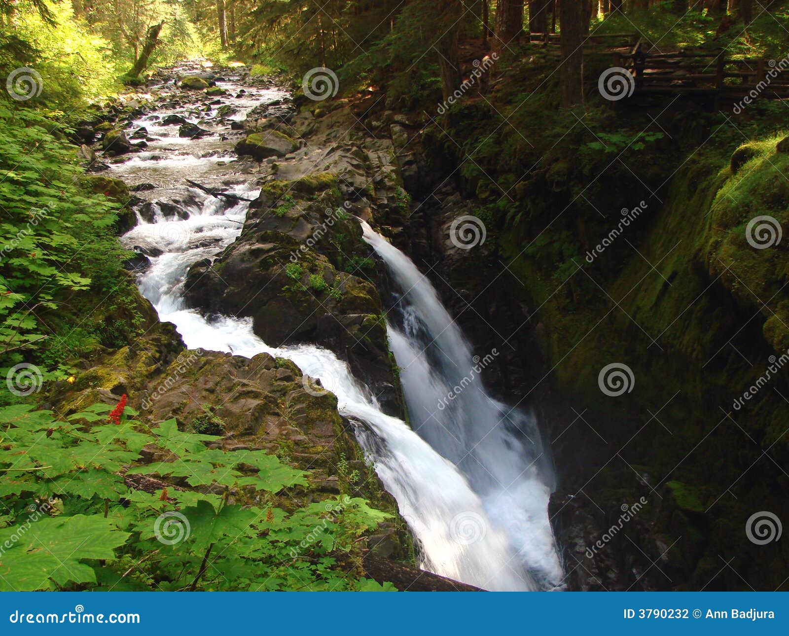 Sol Duc Falls, WA, USA stock photo. Image of quiet, water - 3790232