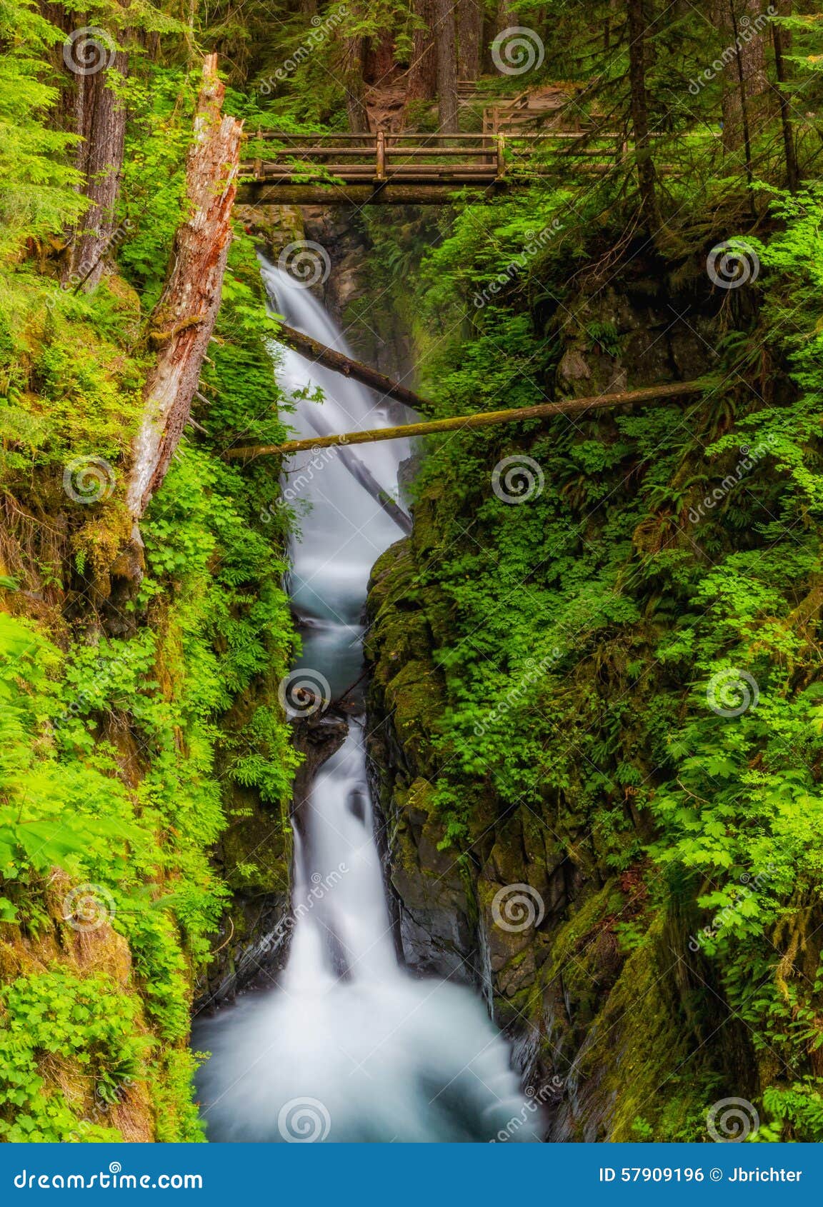 Sol Duc Falls, Washington State Stock Photo - Image of bridge, view ...
