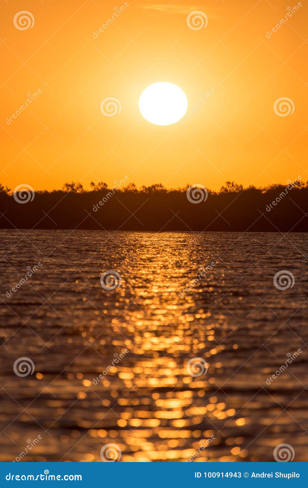 Sol Hermoso Del Amanecer En El Lago Imagen de archivo - Imagen de ...