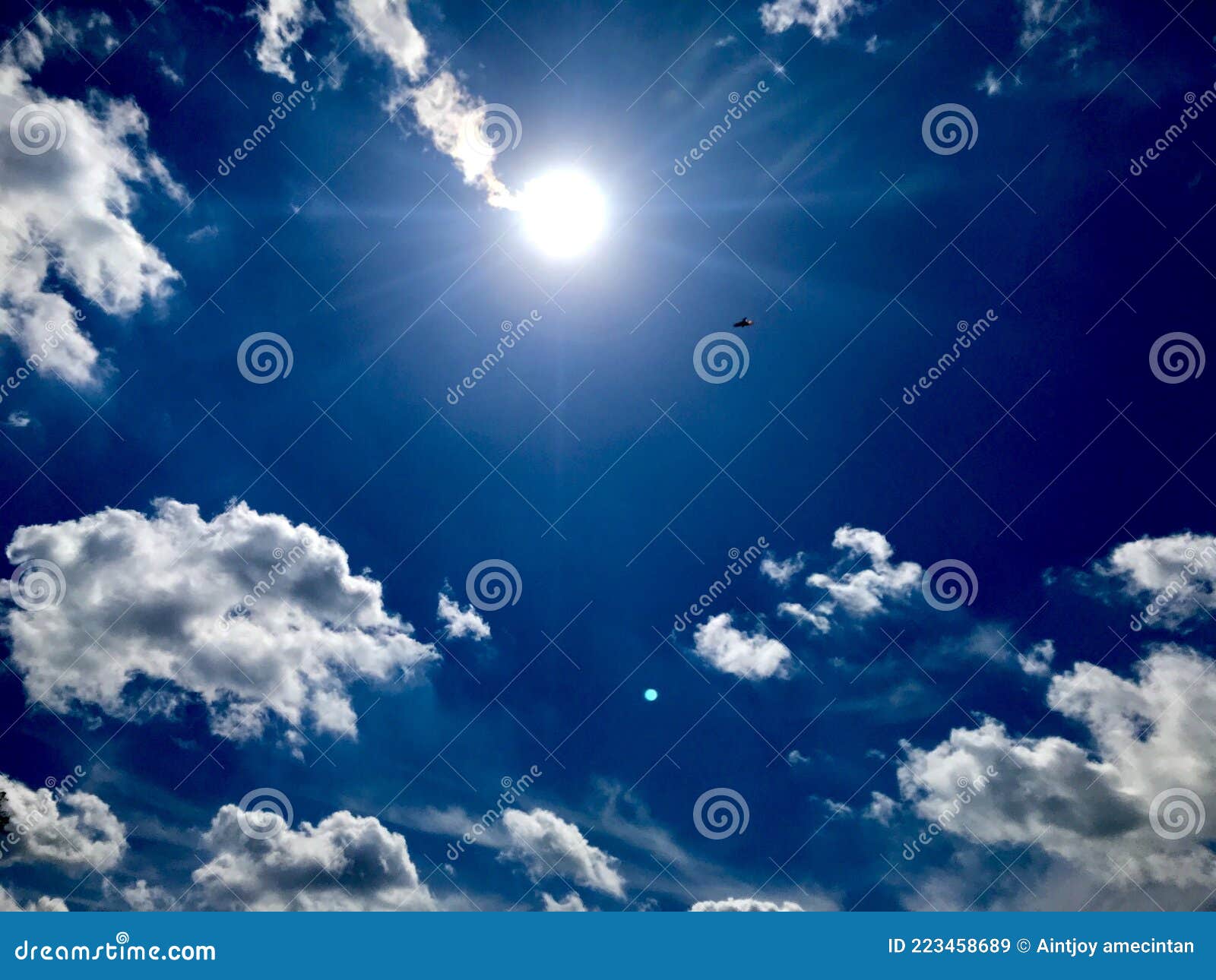 Sol iluminante imagem de stock. Imagem de cavalo, céu - 223458689