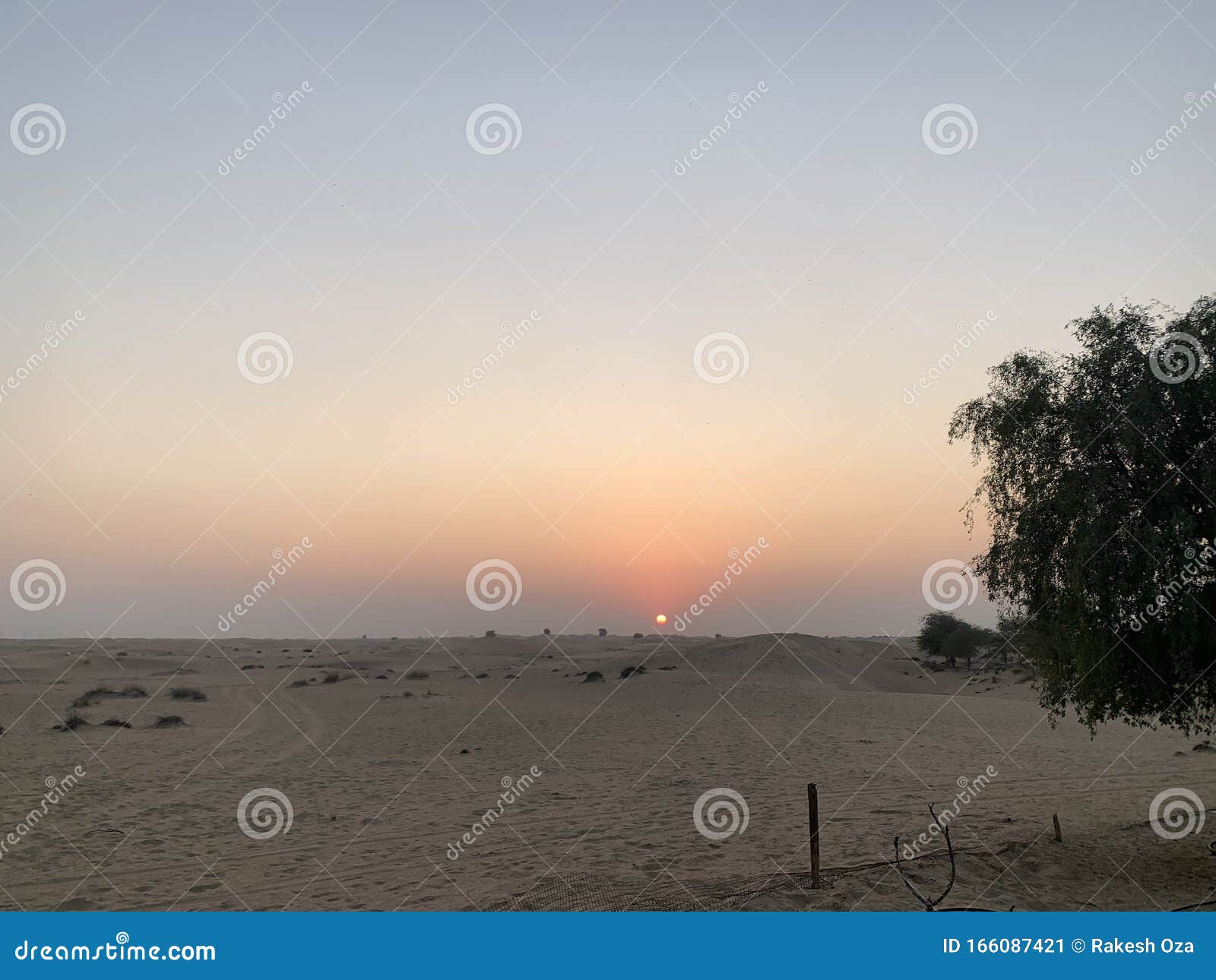 Sol no deserto imagem de stock. Imagem de noite, deserto - 166087421