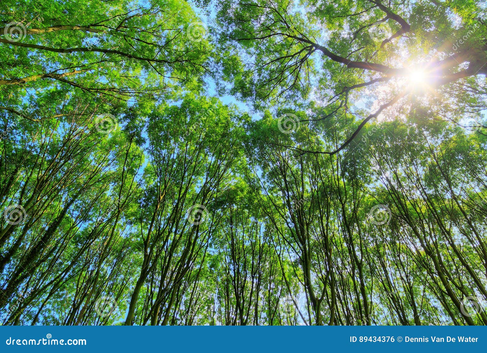 Sol verde del toldo foto de archivo. Imagen de paisaje - 89434376
