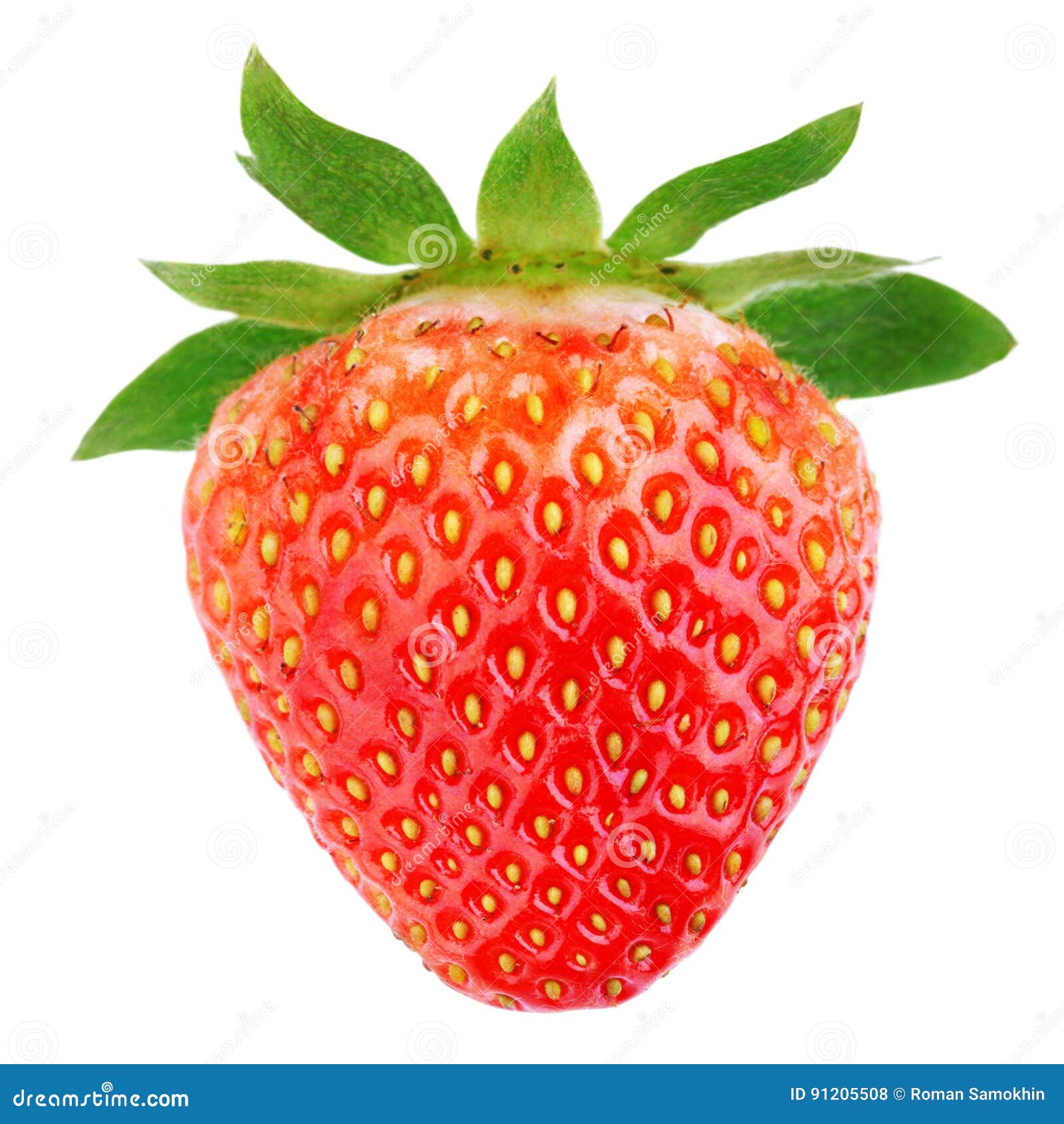 Sola fruta de la fresa foto de archivo. Imagen de fresa - 91205508