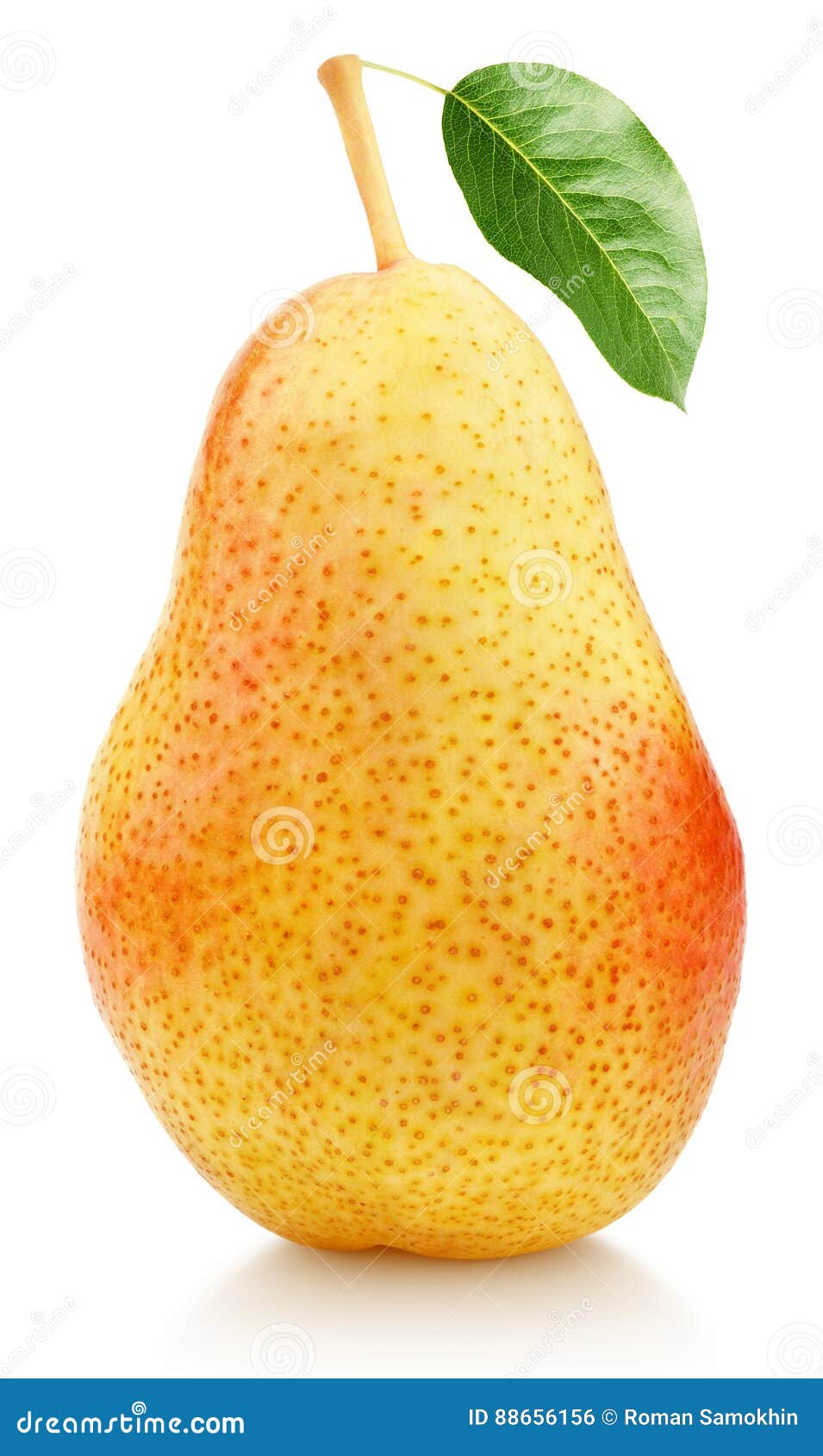 Sola Fruta Roja Dulce De La Pera Foto de archivo - Imagen de verde ...