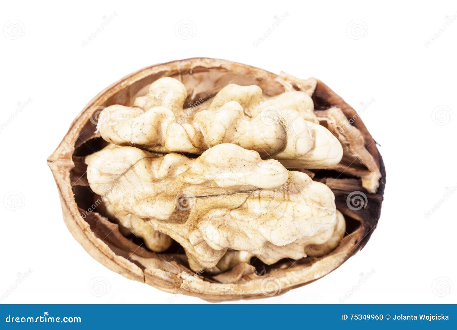 Sola Nuez Aislada En El Fondo Blanco Foto de archivo - Imagen de blanco ...