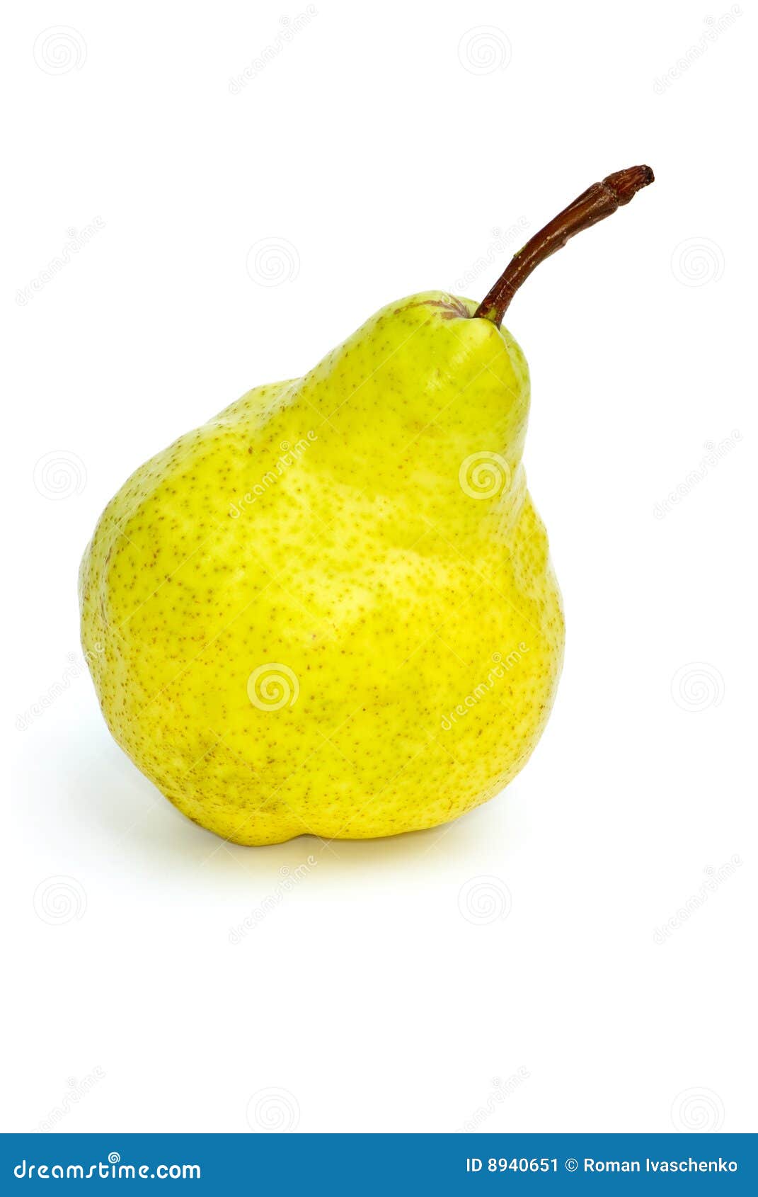 Sola Pera De Color Verde Amarillo Imagen de archivo - Imagen de maduro ...