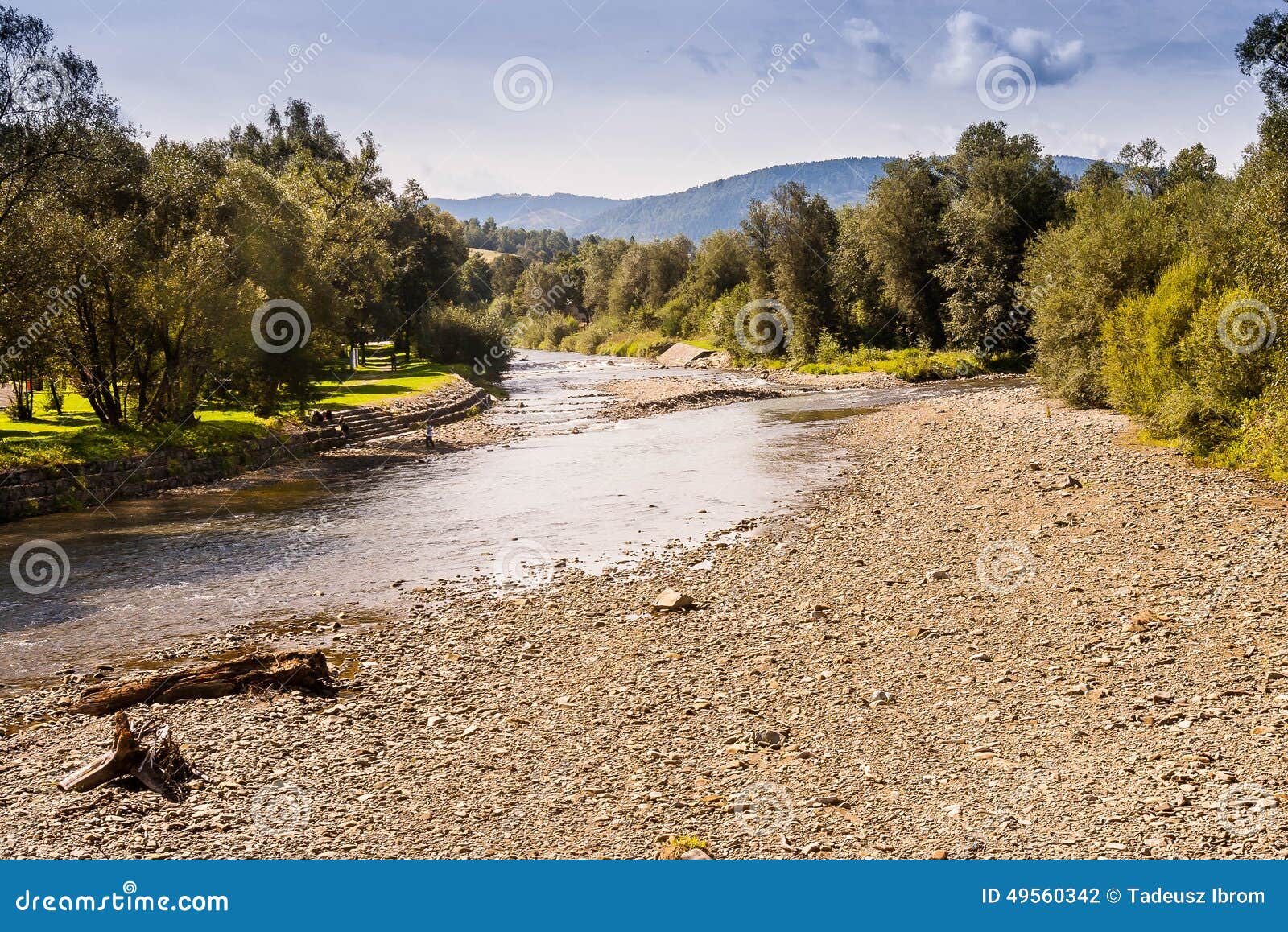 SOla river stock photo. Image of river, ecology, charming - 49560342