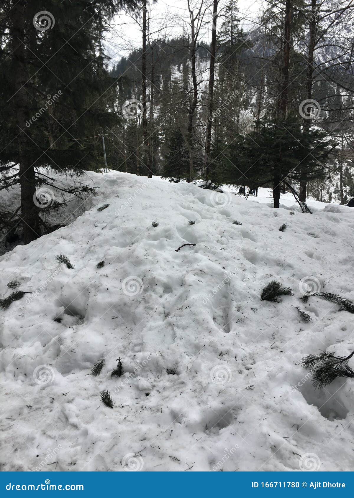 Kullu Manali Trip Tour Ice Mountains Hills Blue Sunlight Cloud Enjoying ...