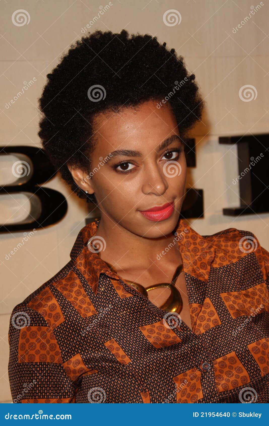 Solange, editorial image. Image of body, launch, knowles - 21954640