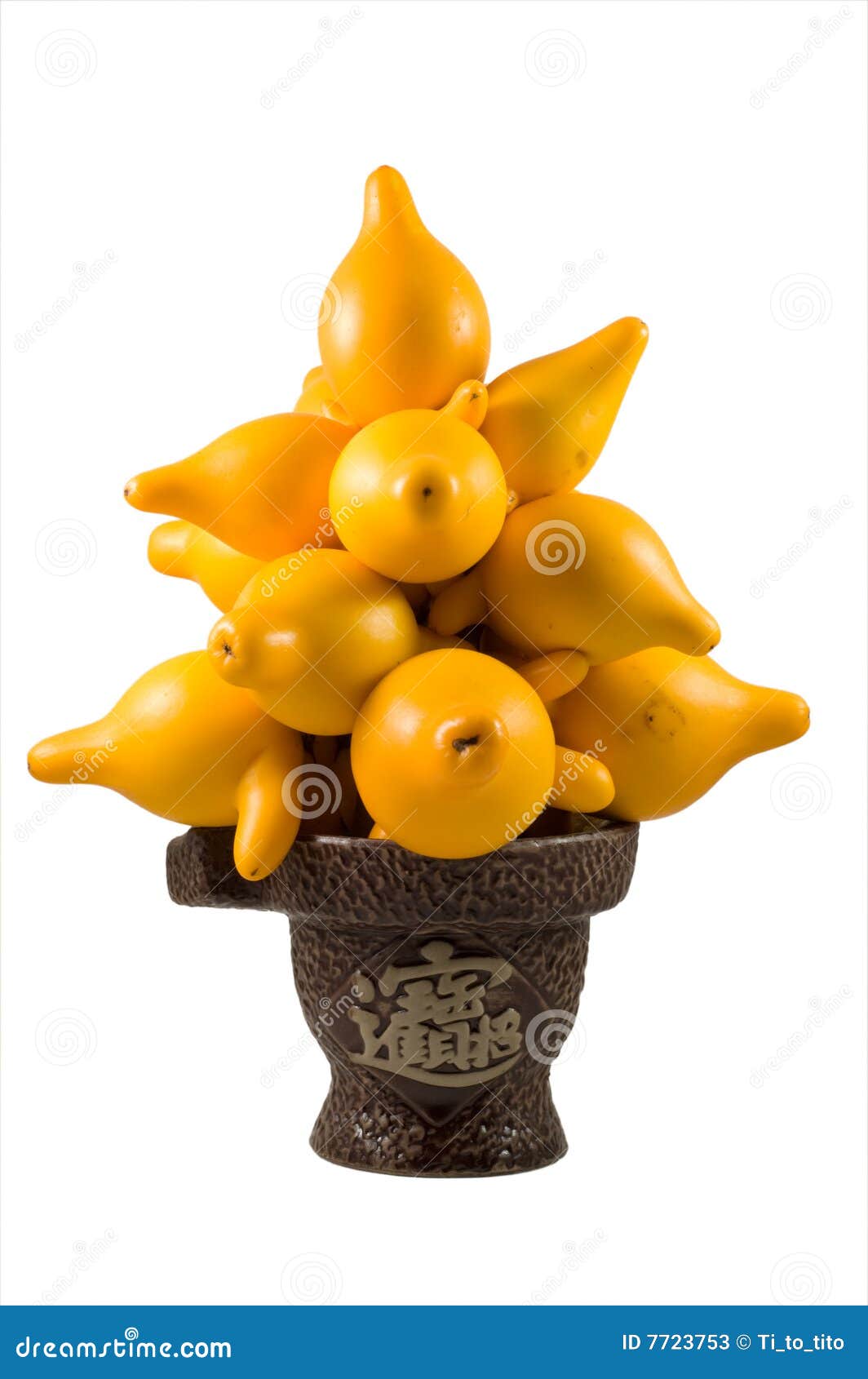 Solanum Mammosum Tree. Yellow Nipples Fruits Is Commonly Known As ...
