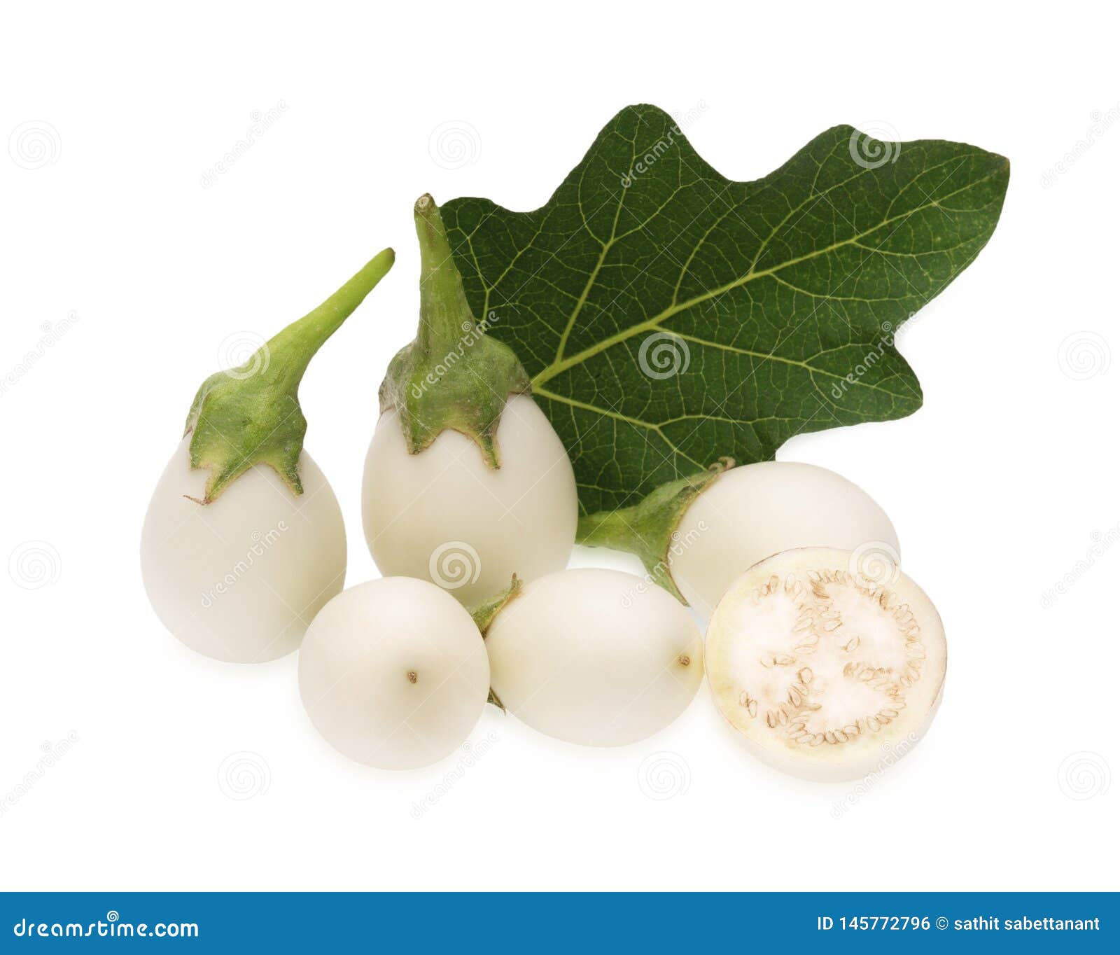 Xanthocarpum Solanum Is An Ayurvedic Herb From India Also Known As ...