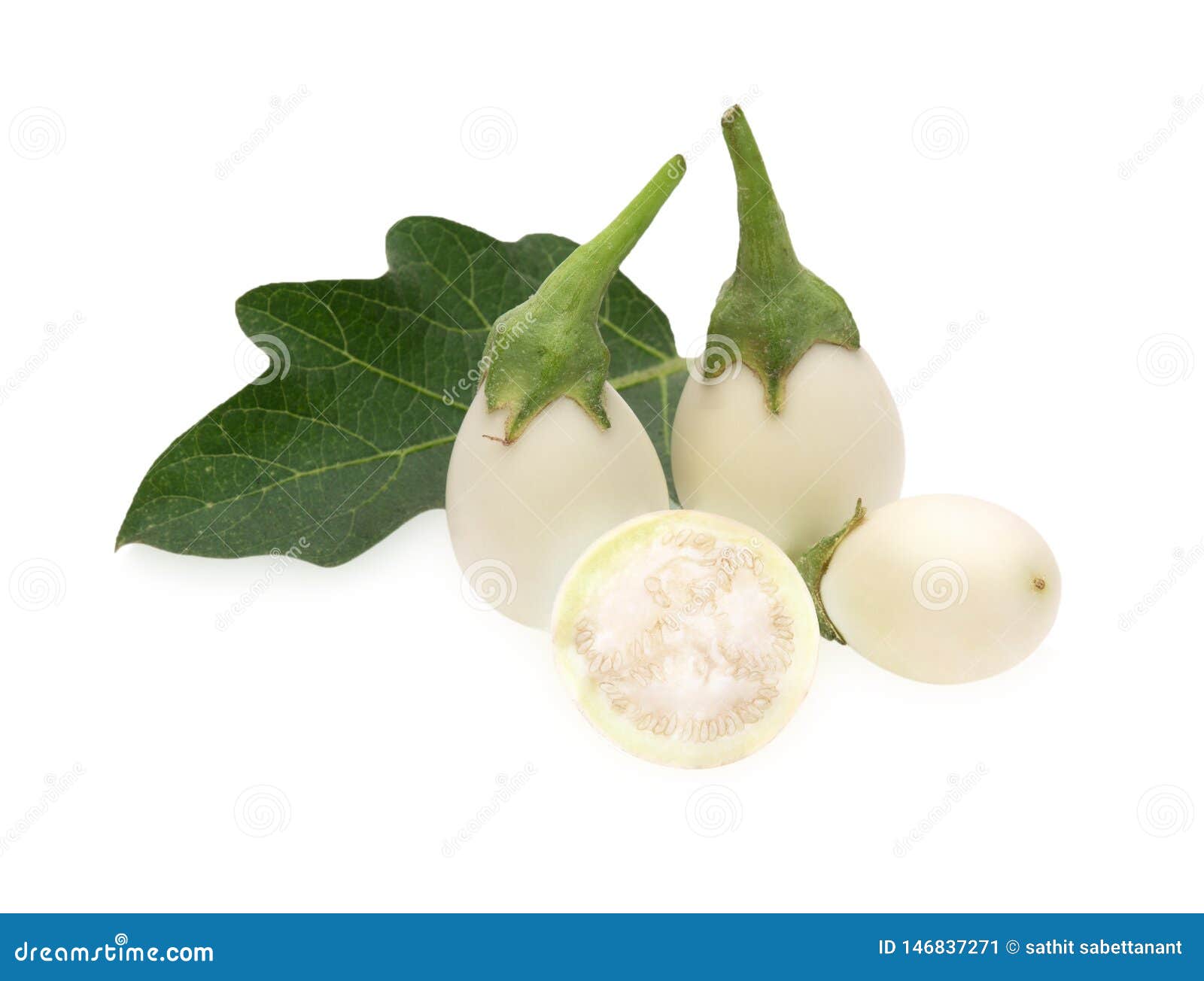 Xanthocarpum Solanum Is An Ayurvedic Herb From India Also Known As ...