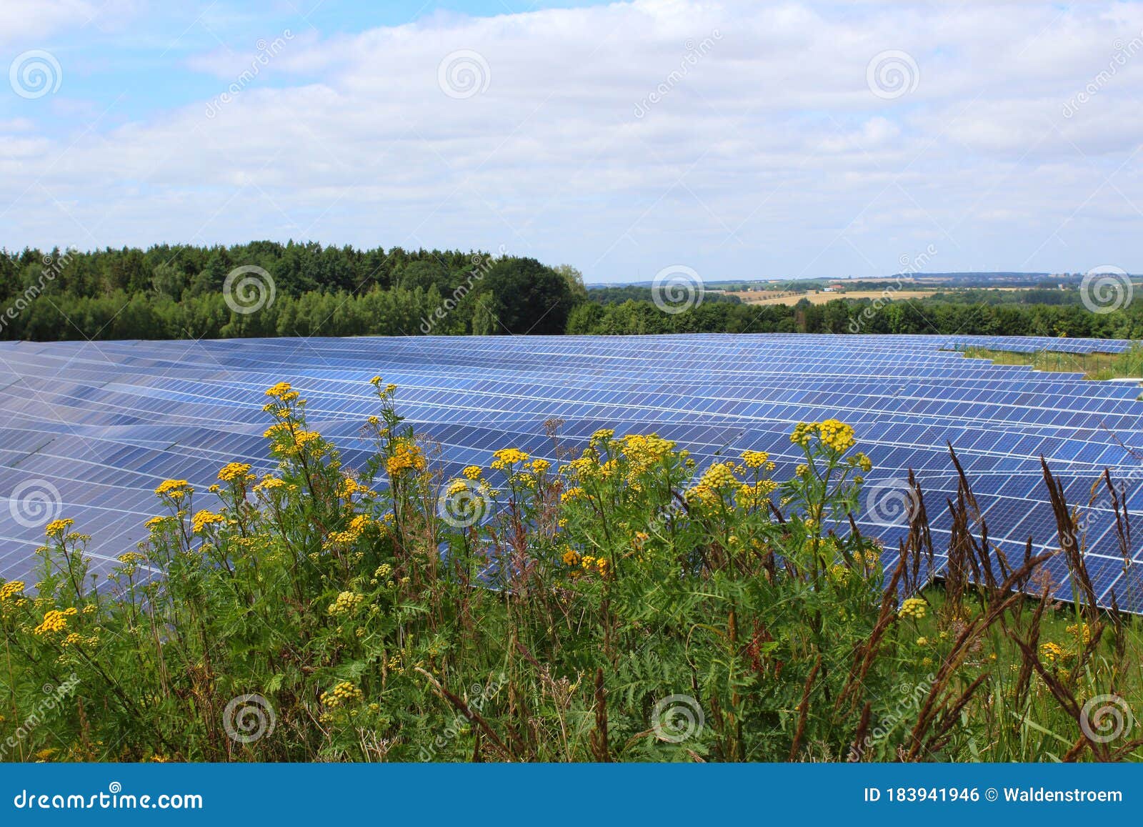 Solar Arrays of a Photovoltaic System Stock Photo - Image of power ...
