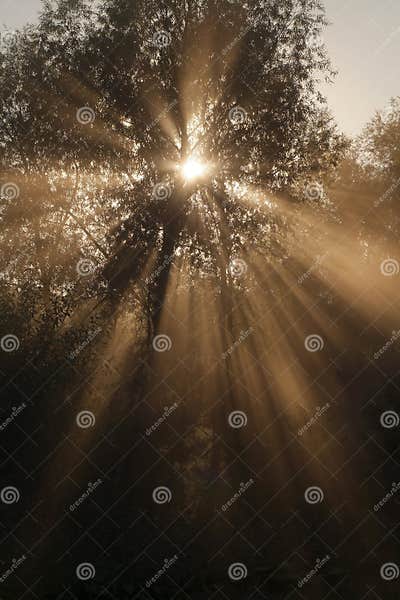 The solar beam stock photo. Image of shade, projector - 6156436