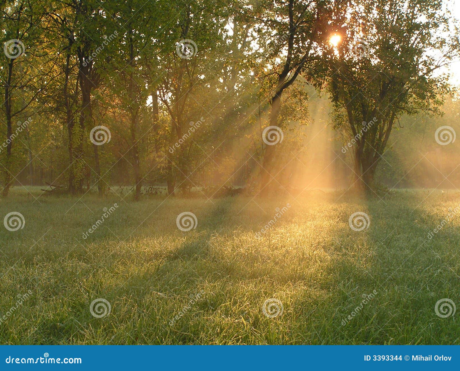 Solar beams. stock photo. Image of background, ethereal - 3393344