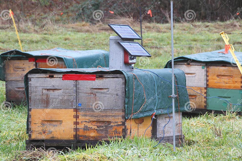 Solar Bee Hive Cooler stock photo. Image of solar, temperature - 65526584