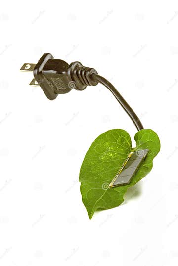 Solar cell stock photo. Image of electric, leaf, green - 5618034