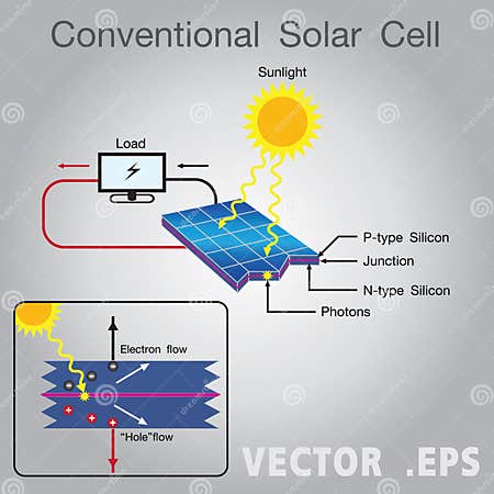 Solar Cell Diagram. Education Infographic. Vector Design. Stock Vector ...