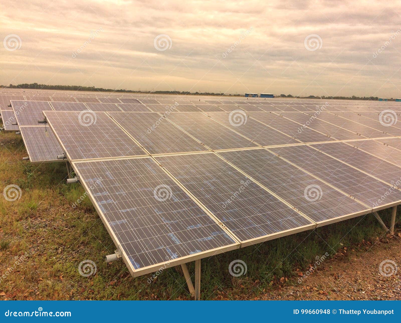 Solar cell farm stock photo. Image of electricity, technology - 99660948
