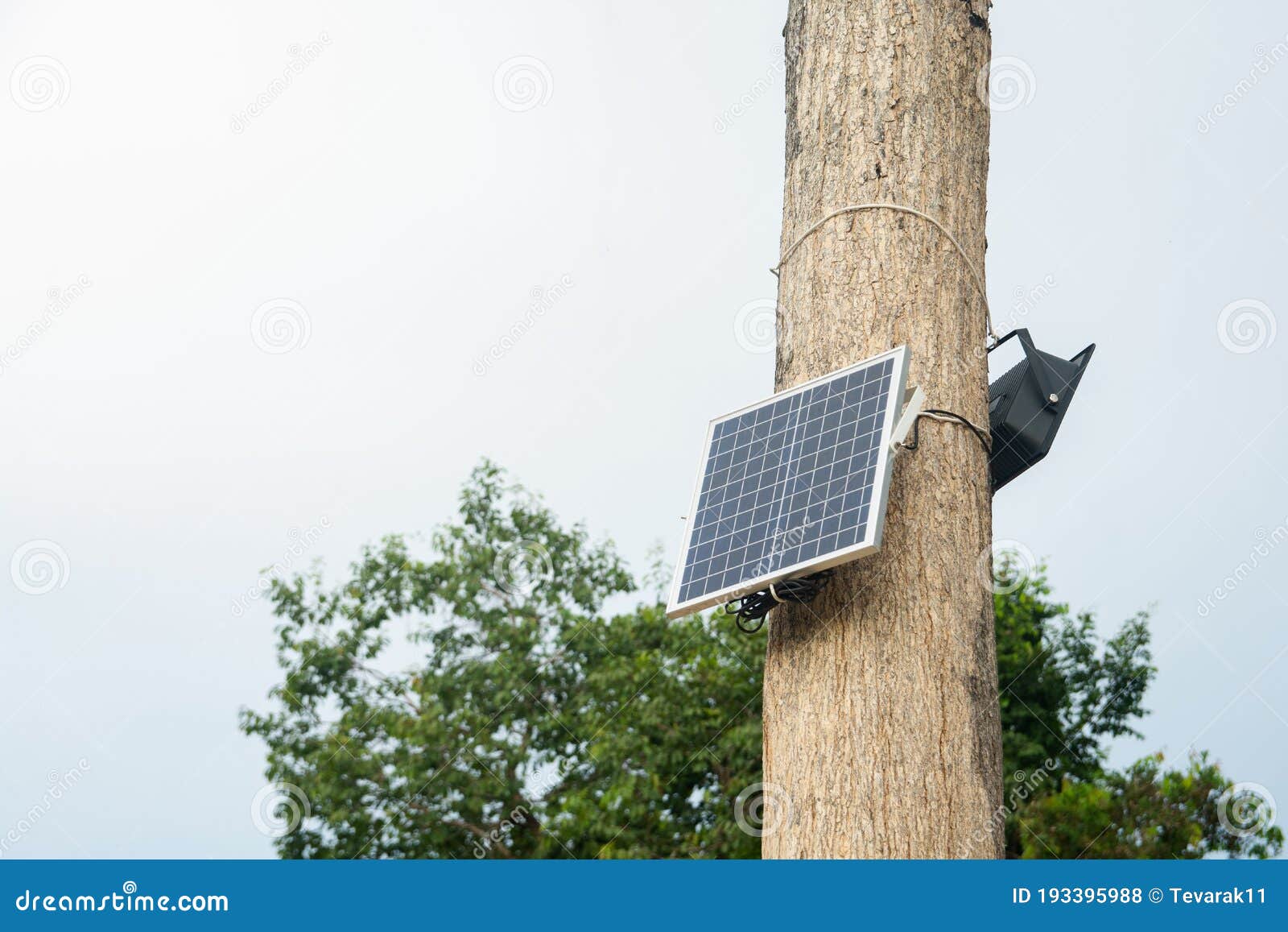 Solar Cell Install on the Tree Stock Photo - Image of electricity ...