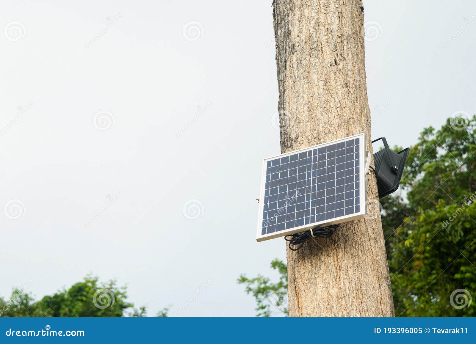Solar Cell Install on the Tree Stock Image - Image of ecology, tree ...