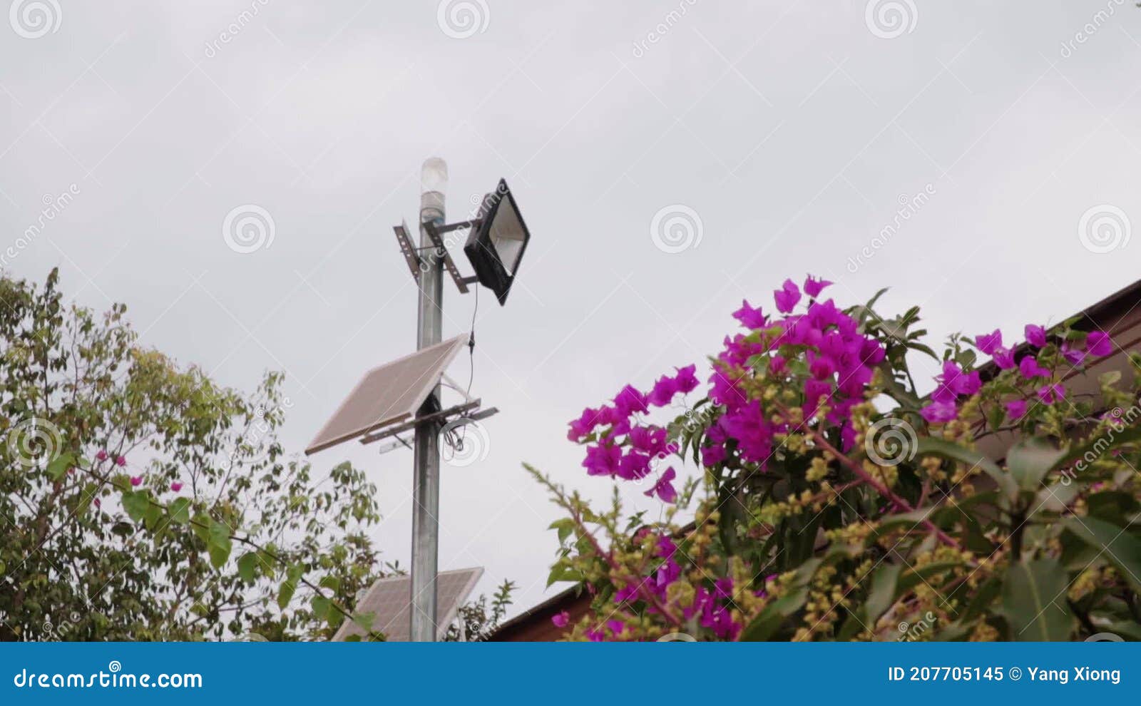 Solar Cell for Lighting in the Evening Stock Video - Video of cell ...