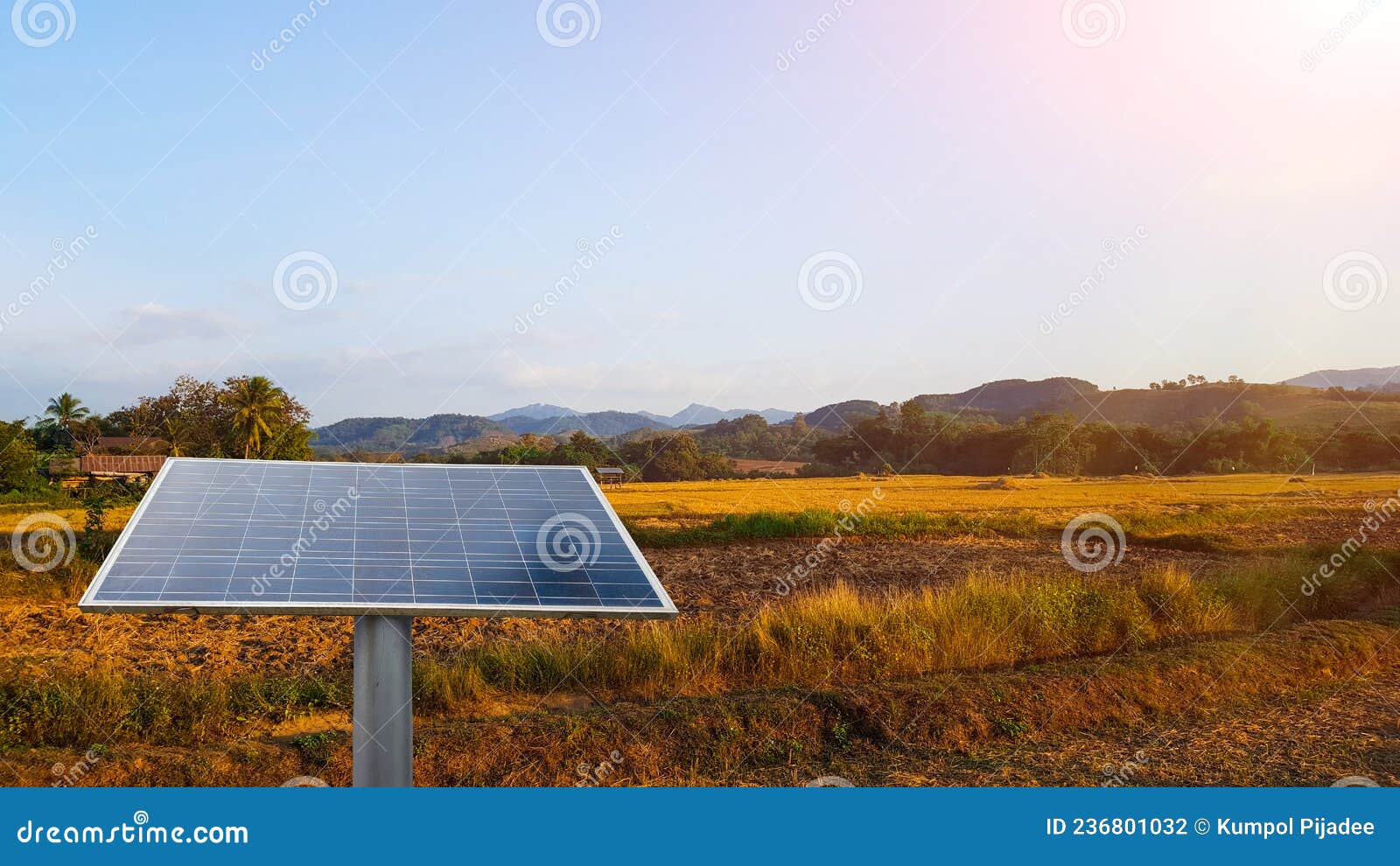 Solar Cell Panel Installed at the Paddy Fields To Provide Power To the ...