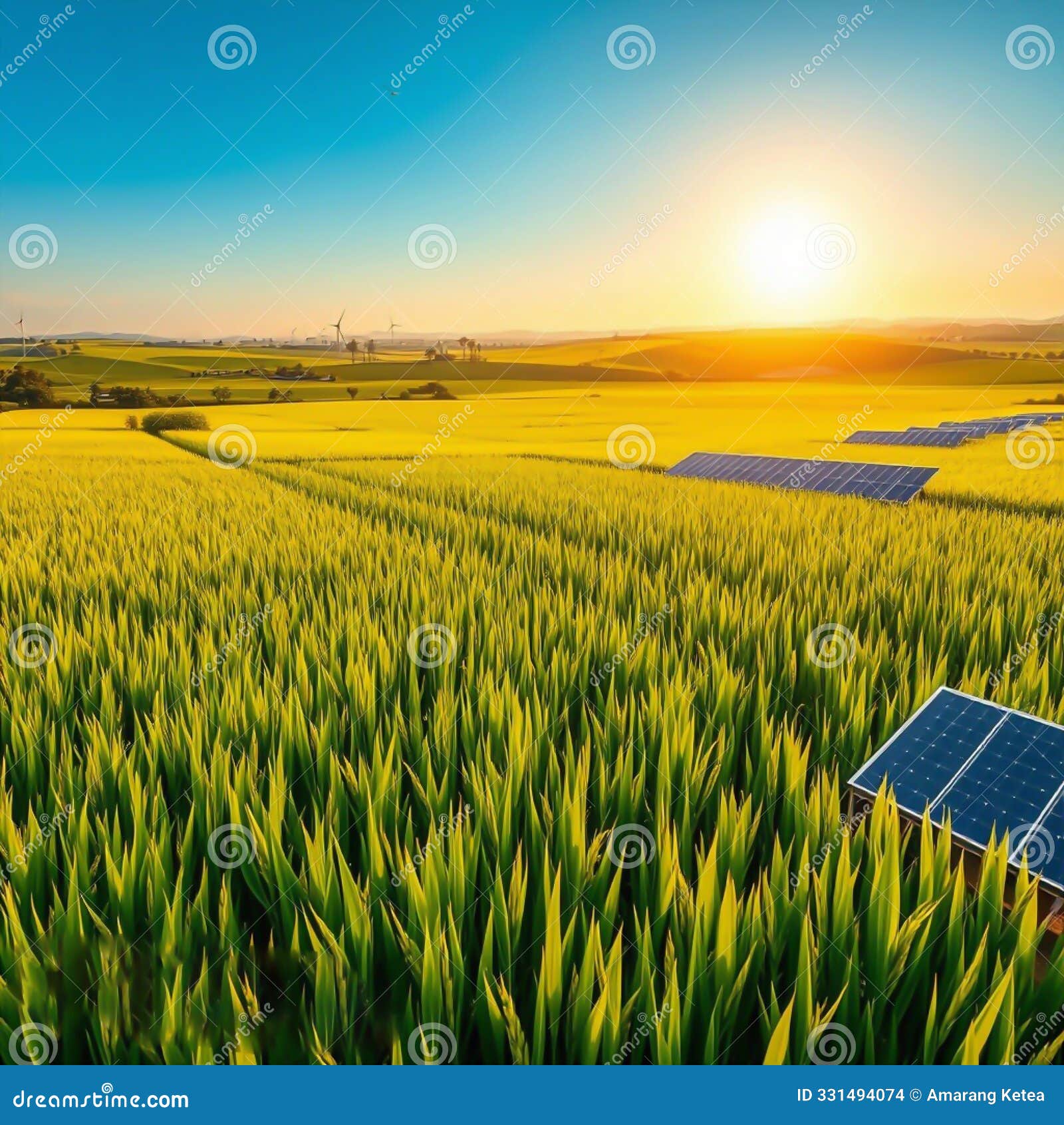 Solar Cell in the Rice Field Stock Photo - Image of clean, farm: 331494074