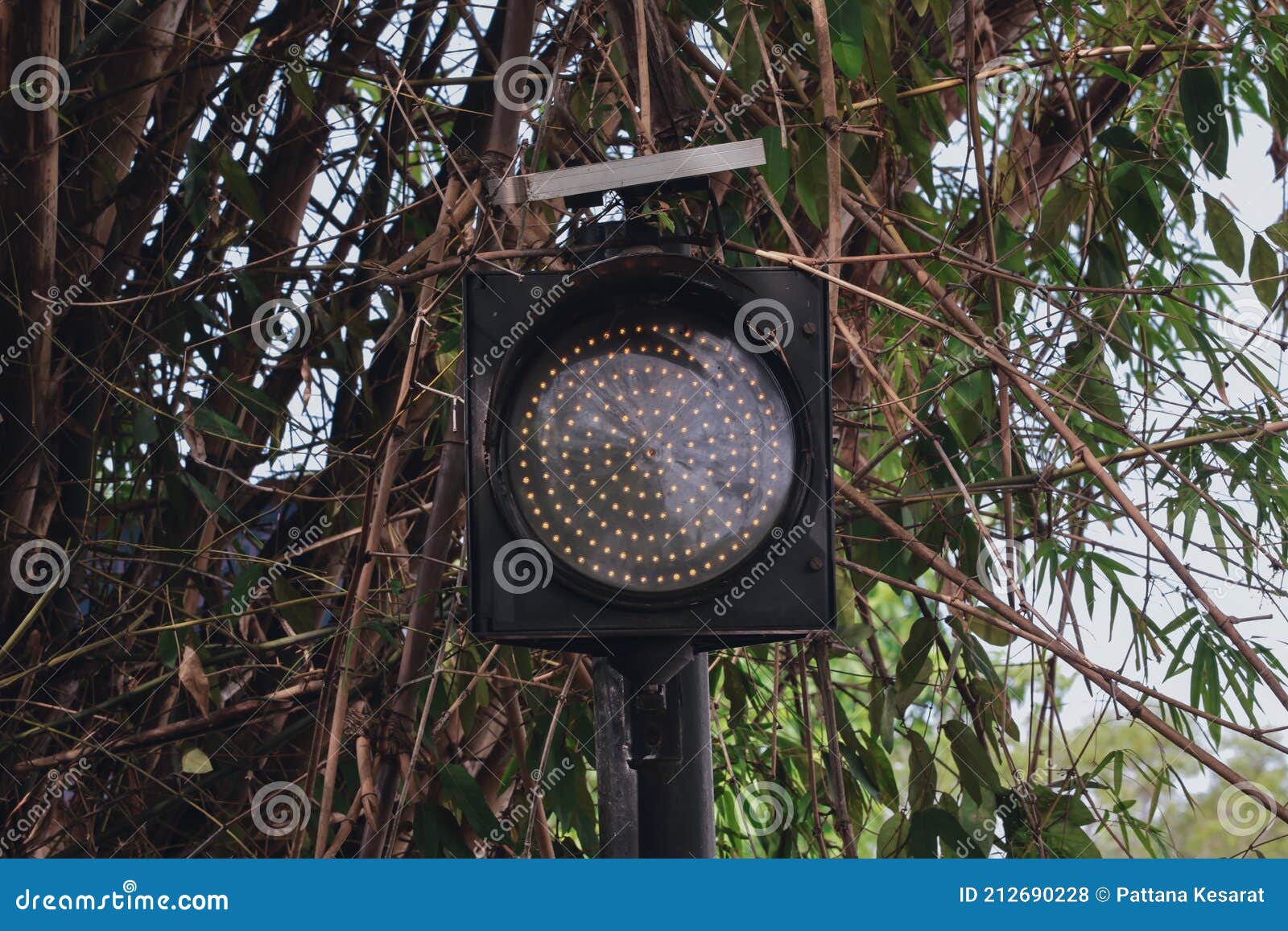 A Solar Cell Traffic Light on a Country Road Stock Photo - Image of ...