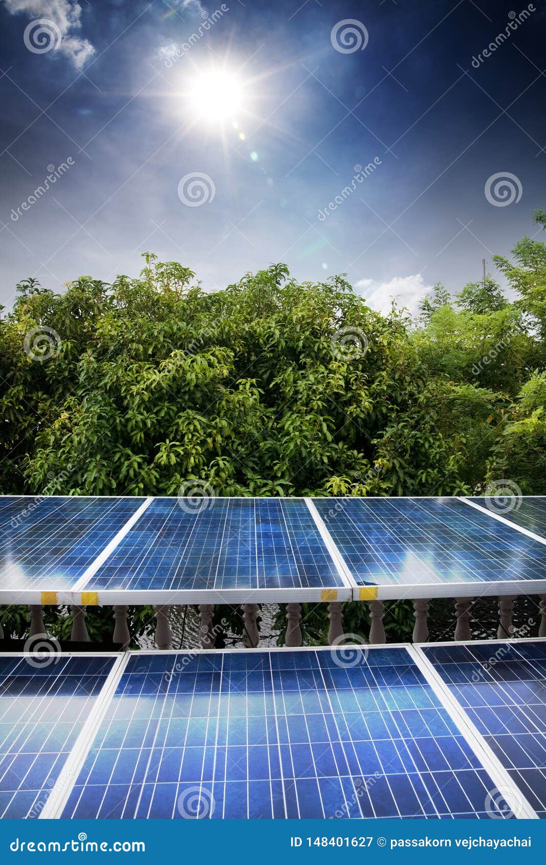 Solar cells stock image. Image of cells, beautiful, nature - 148401627