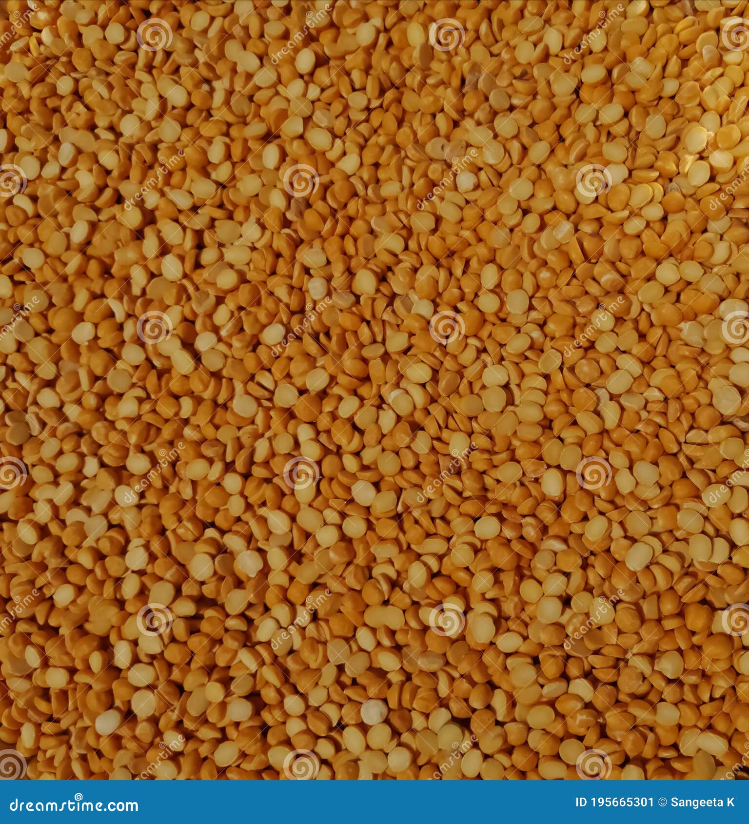 Solar Dry Heating Technique- Pulses Drying in Solar Heat Stock Image ...