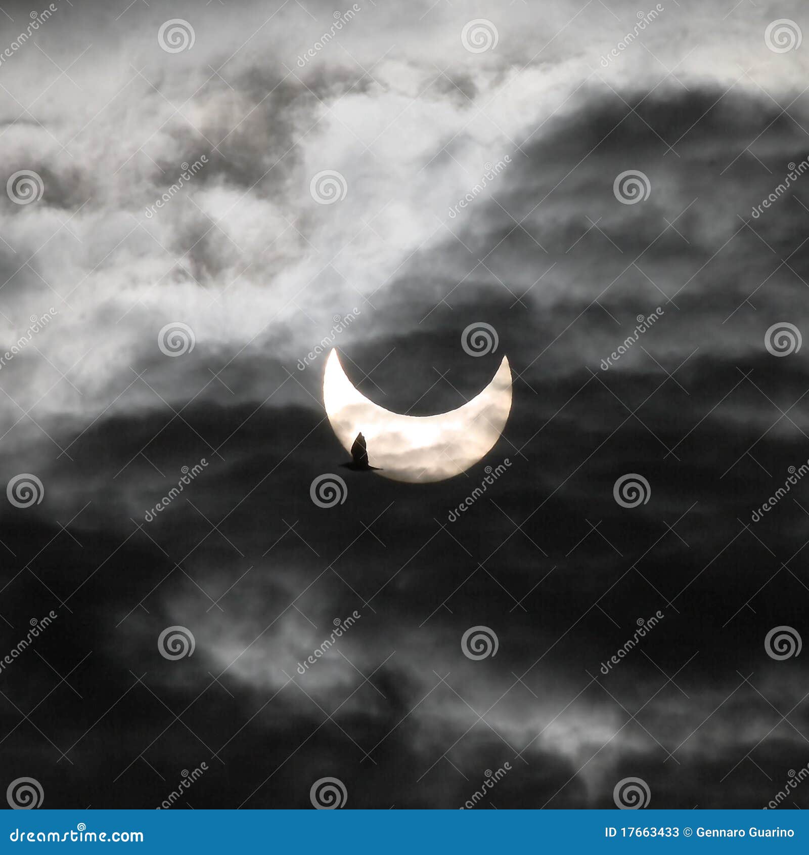 Solar eclipse and bird editorial stock photo. Image of galaxy - 17663433