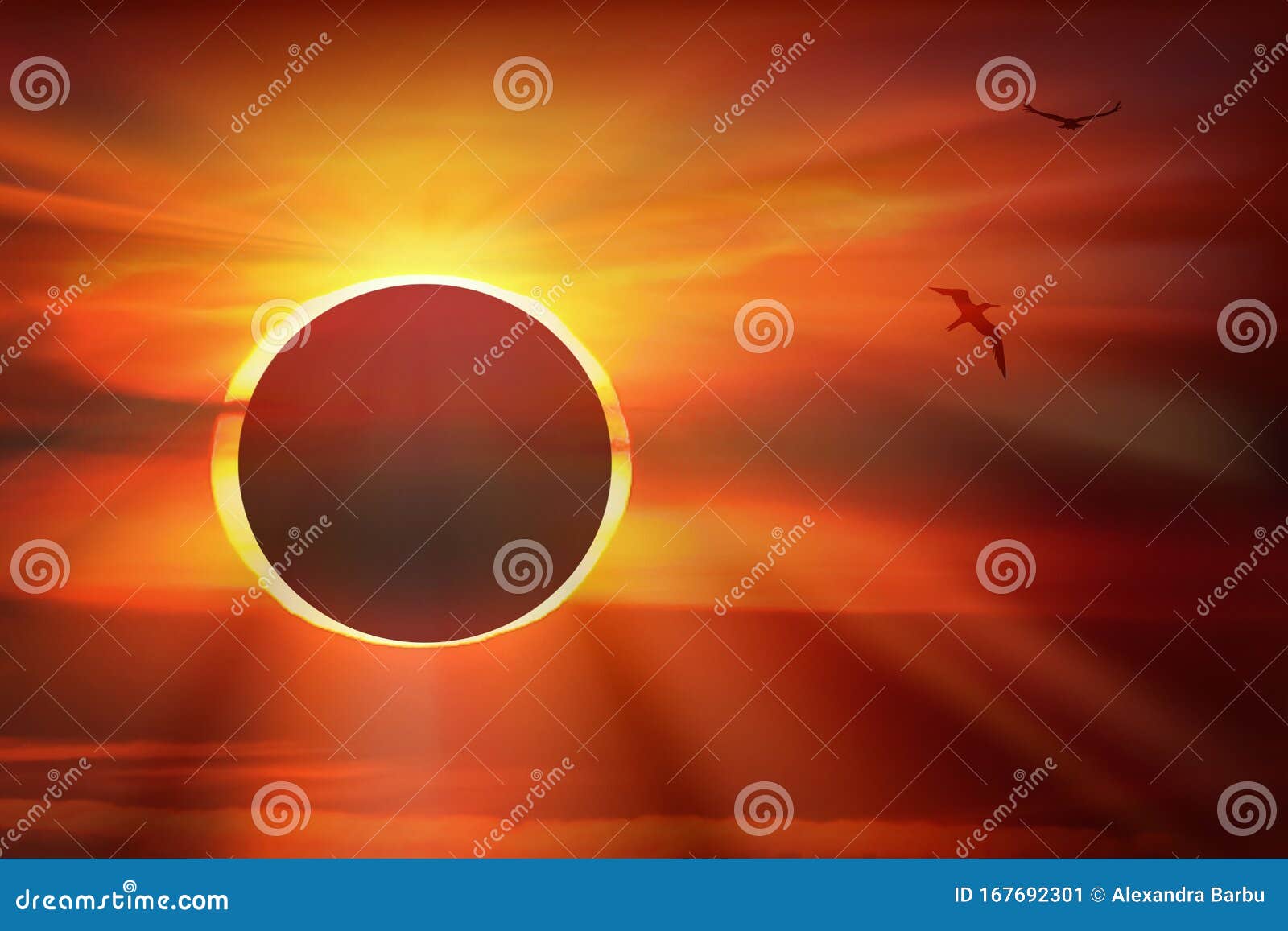 Solar Eclipse, Ring of Fire Stock Vector - Illustration of looking ...