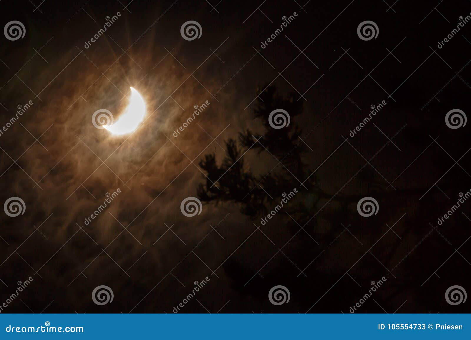 Solar Eclipse Seen through a Ring of Multicolored Clouds with Pine Tree ...
