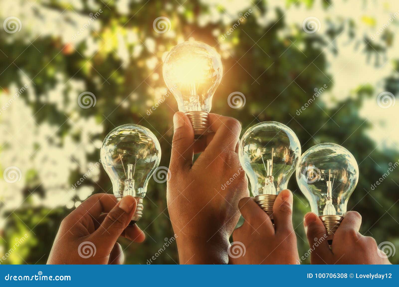 Solar Energy Concept Hand Group Holding Light Bulb Stock Photo - Image ... Solar Energy Concept Hand Group Holding Light Bulb Stock Photo - Image ...