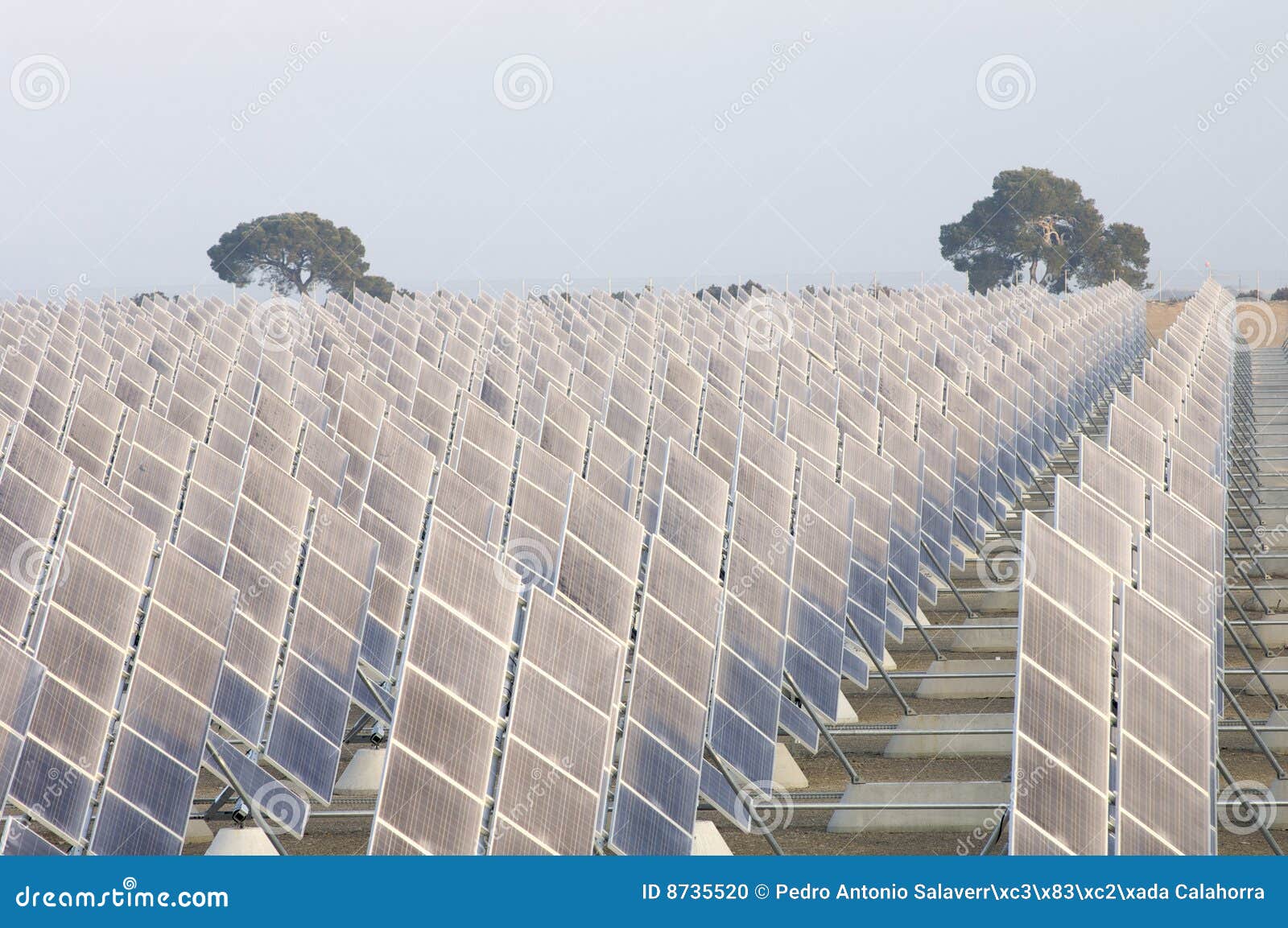 Solar energy field stock photo. Image of cells, aligned - 8735520