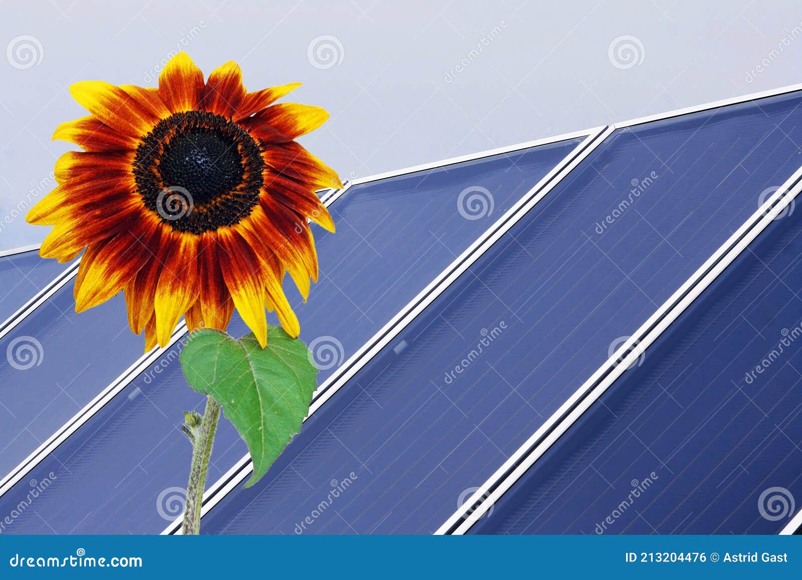 Solar Energy is Good for Nature and the Environment Stock Photo - Image ...