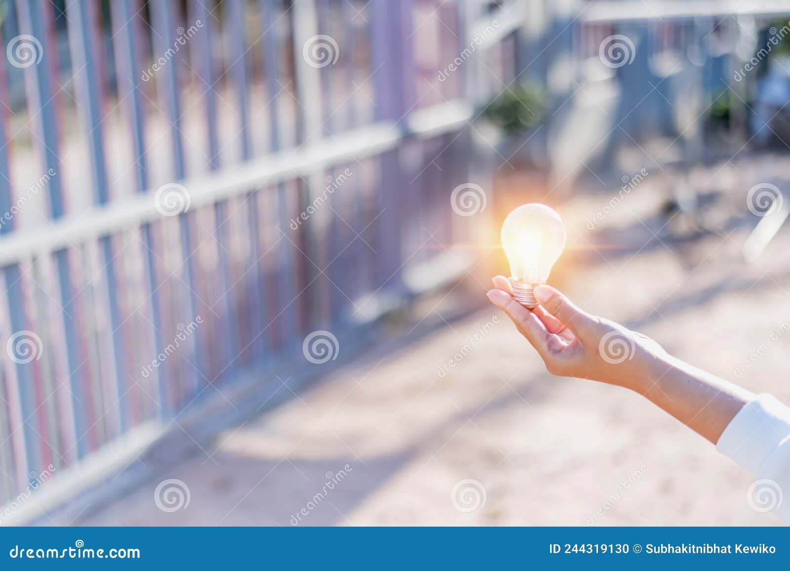 Hand holding a light bulb. stock photo. Image of holding - 244319130