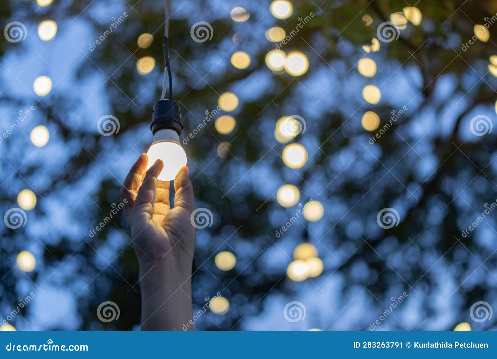 Solar Energy Light Bulbs on Hand and Handing on Tree in Garden ...