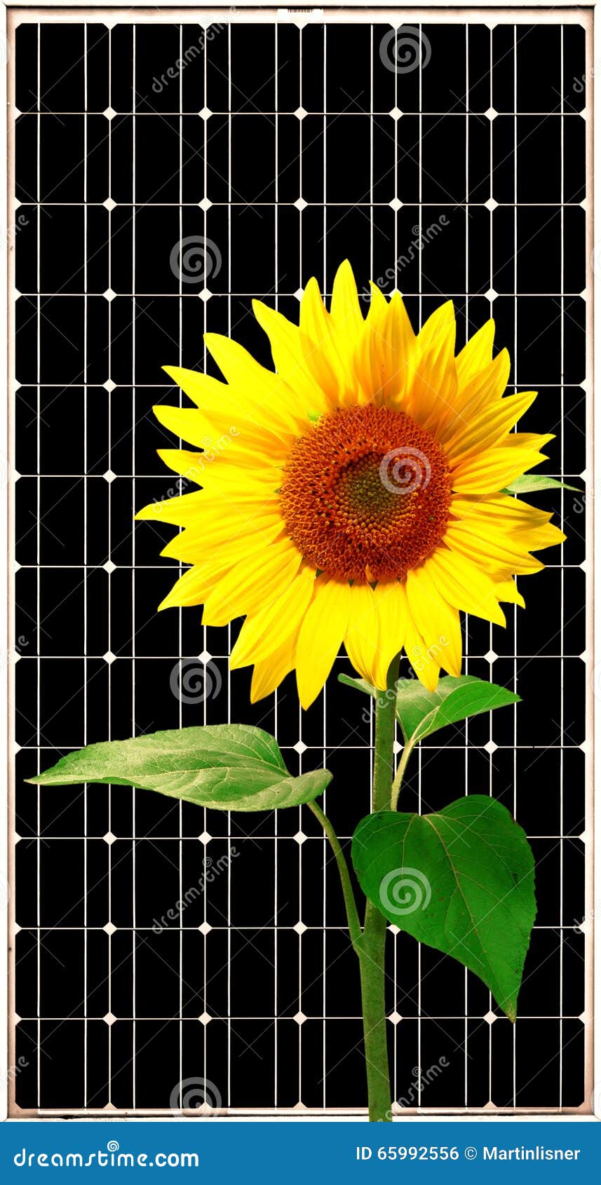 Solar Energy Panel with Sunflower Stock Photo - Image of sunflower ...