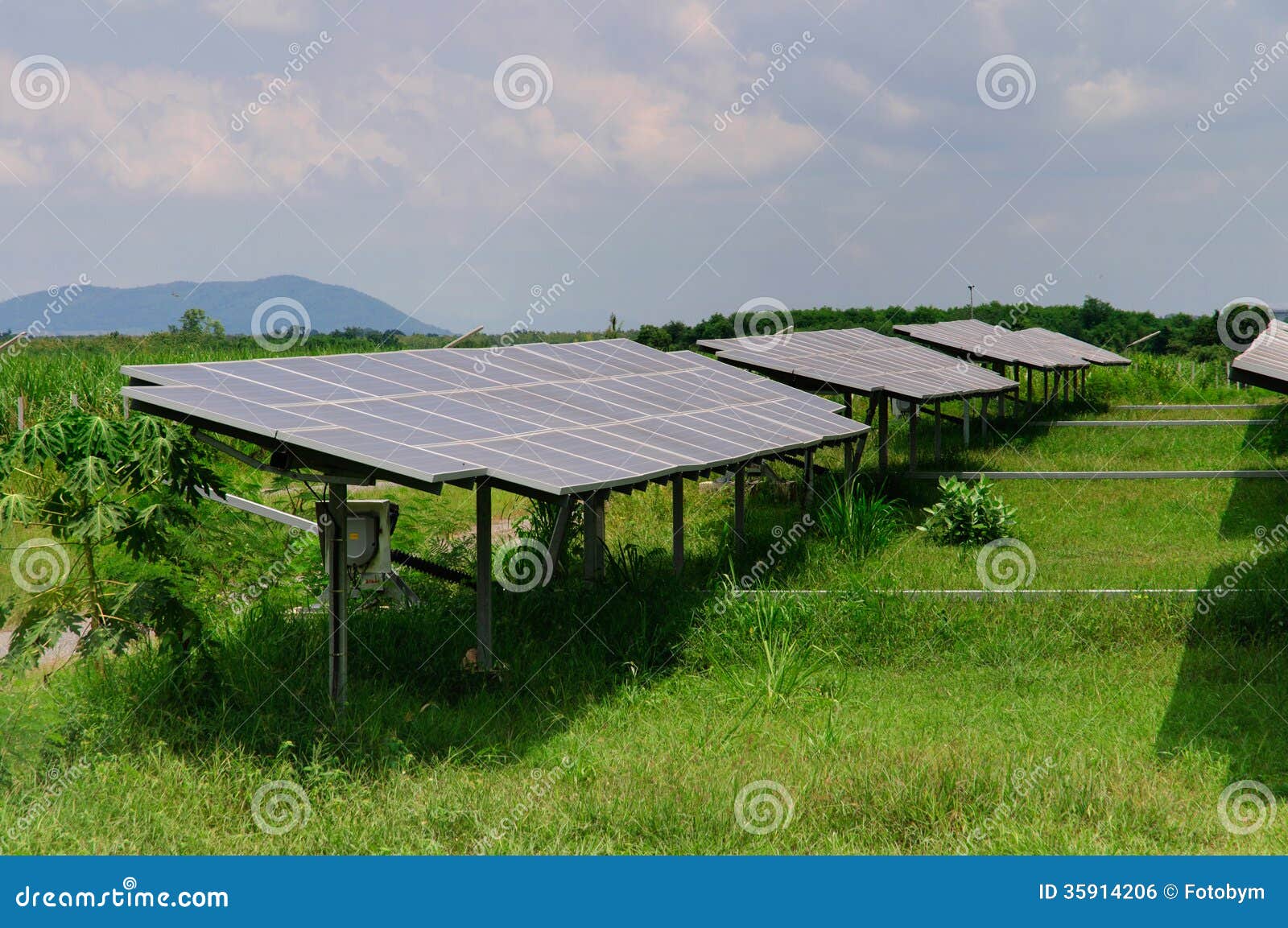 Solar Energy Panels on a Green Field Stock Photo - Image of panel ...