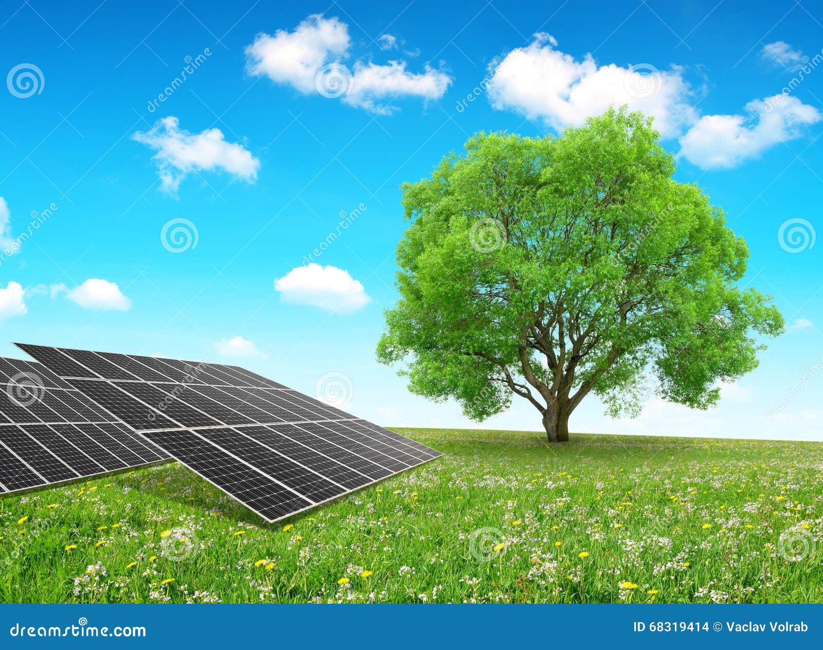 Solar Energy Panels and Tree on Meadow. Stock Photo - Image of meadow ...