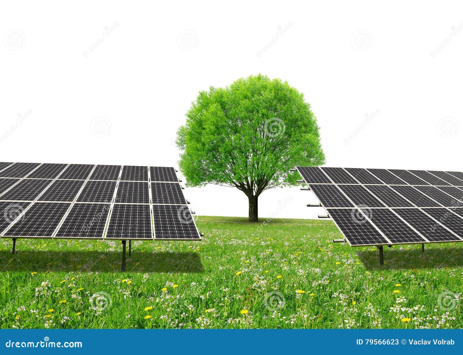 Solar Energy Panels and Tree on Meadow with Copy Space. Stock Image ...