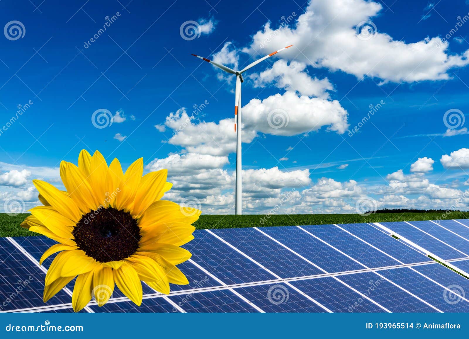 Solar Energy Wind Power in the Sun Stock Photo - Image of ecology ...