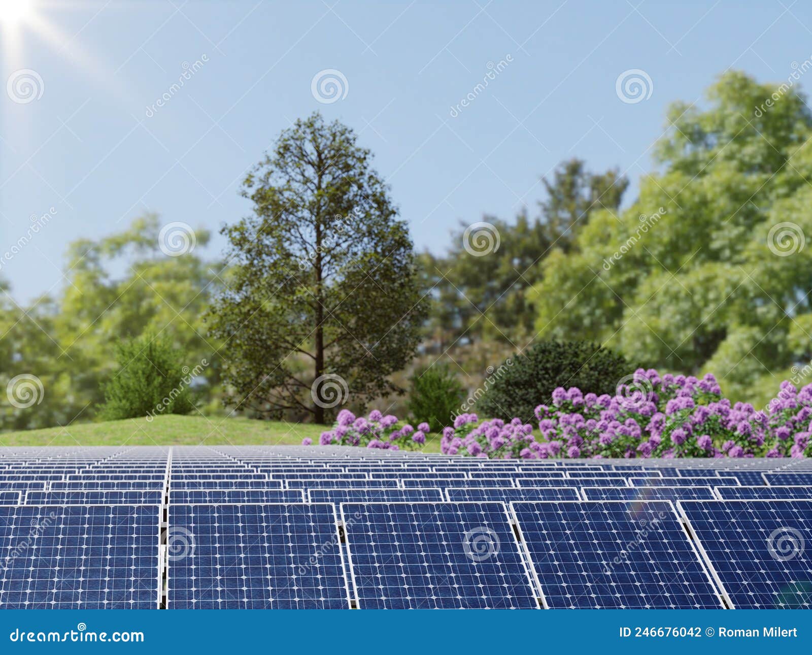 Solar Farm With Solar Panels And Wind Turbines In The Background ...