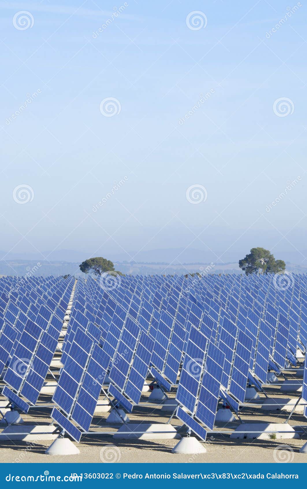 Solar field stock photo. Image of energy, electrical - 13603022